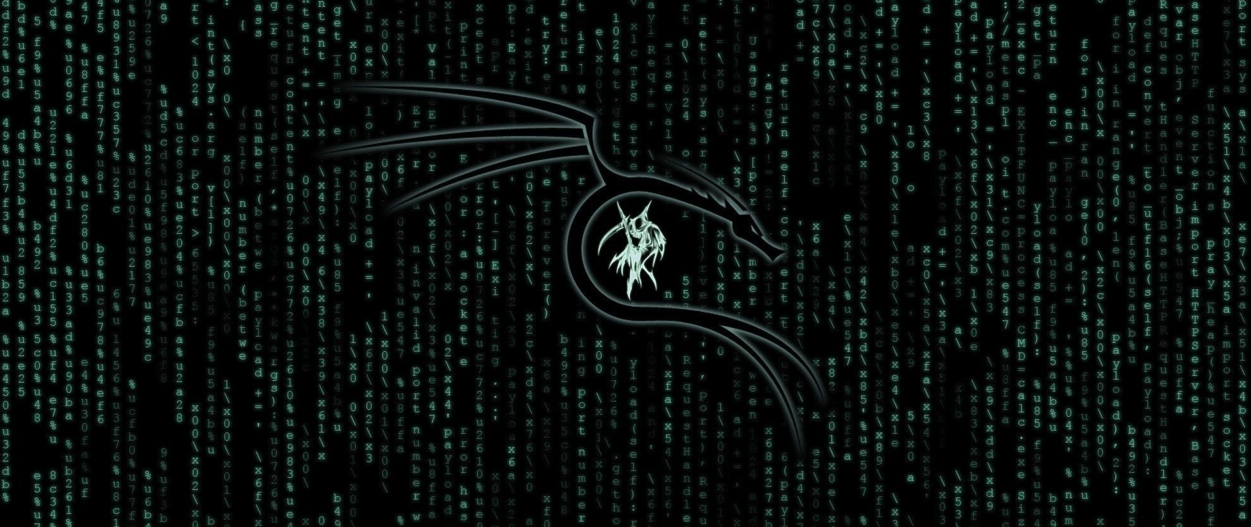Kali Linux Background 4k (#2897064) - HD Wallpaper & Backgrounds Download