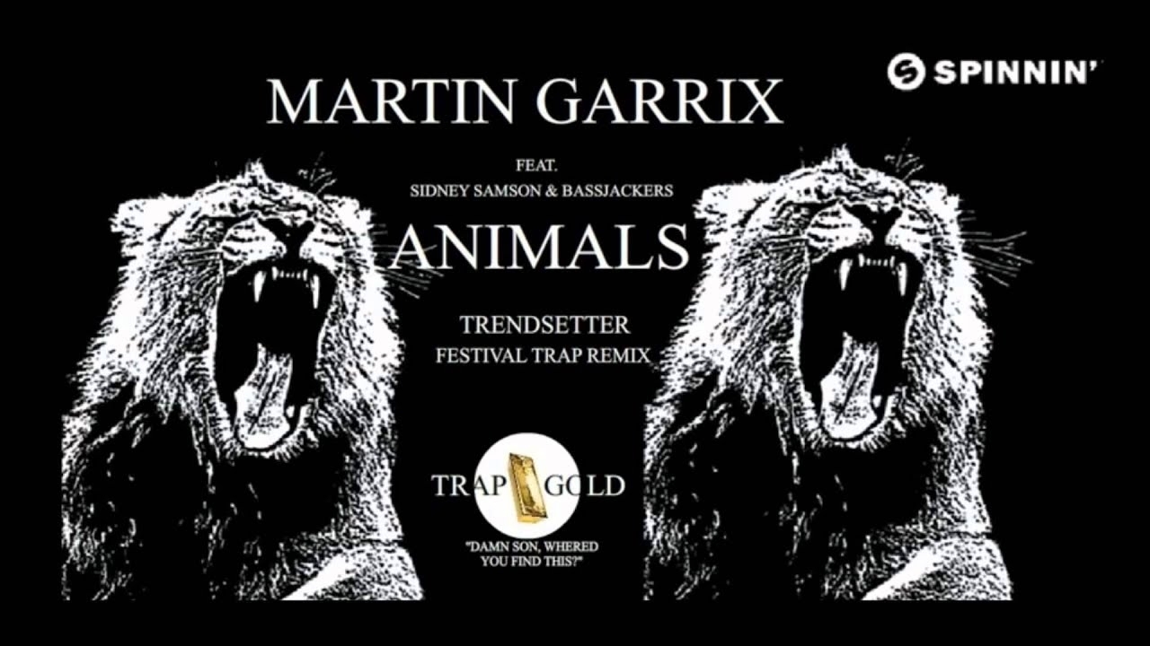 Coolest Martin Garrix Animals Wallpaper - Martin Garrix Animals ...