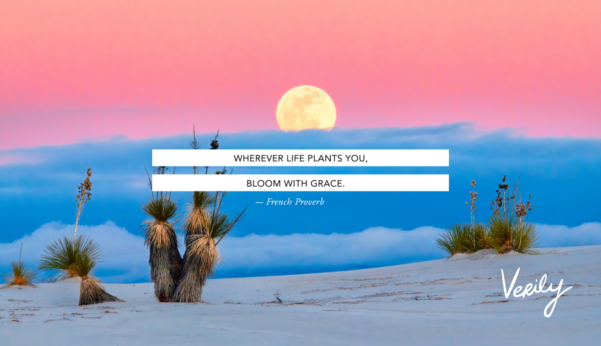 Desktop Wallpaper // Phone Wallpaper - Post Malone Sam Feldt Feat Rani ...