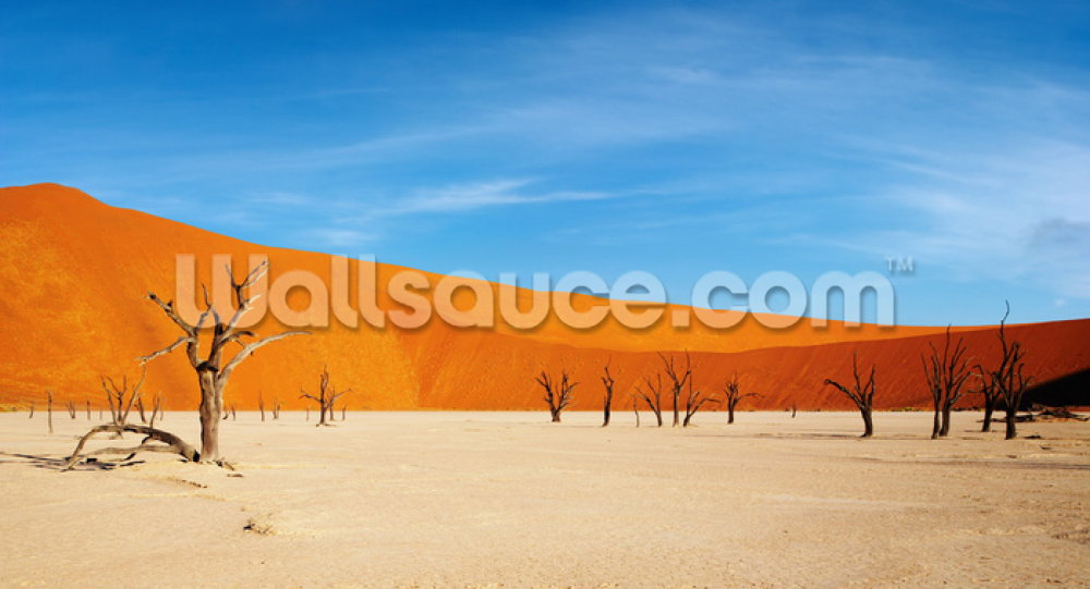 Namib Desert Wall Mural - Southern Namibia (#2905466) - HD Wallpaper ...