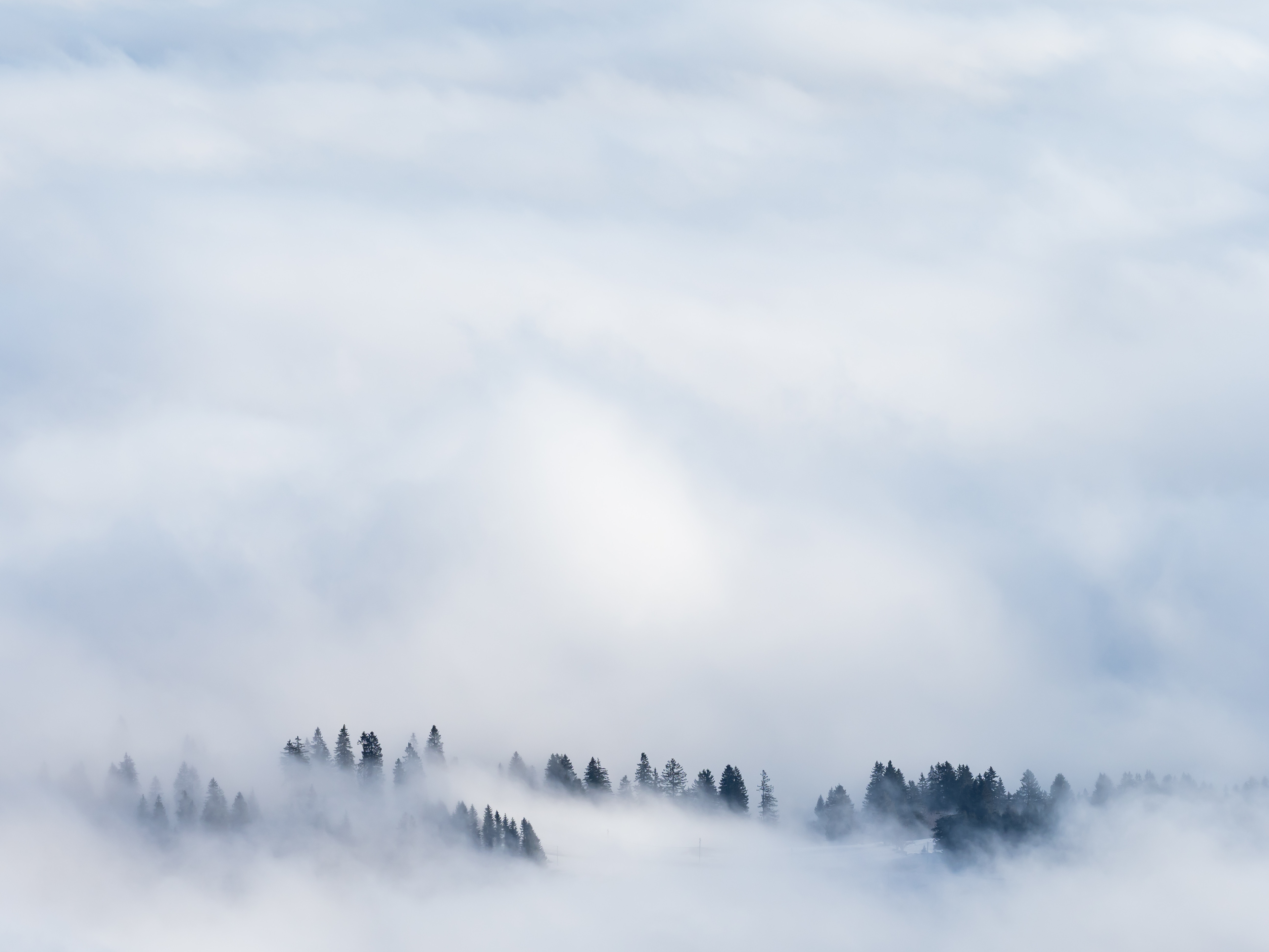 Snow Fog (#2909824) - HD Wallpaper & Backgrounds Download