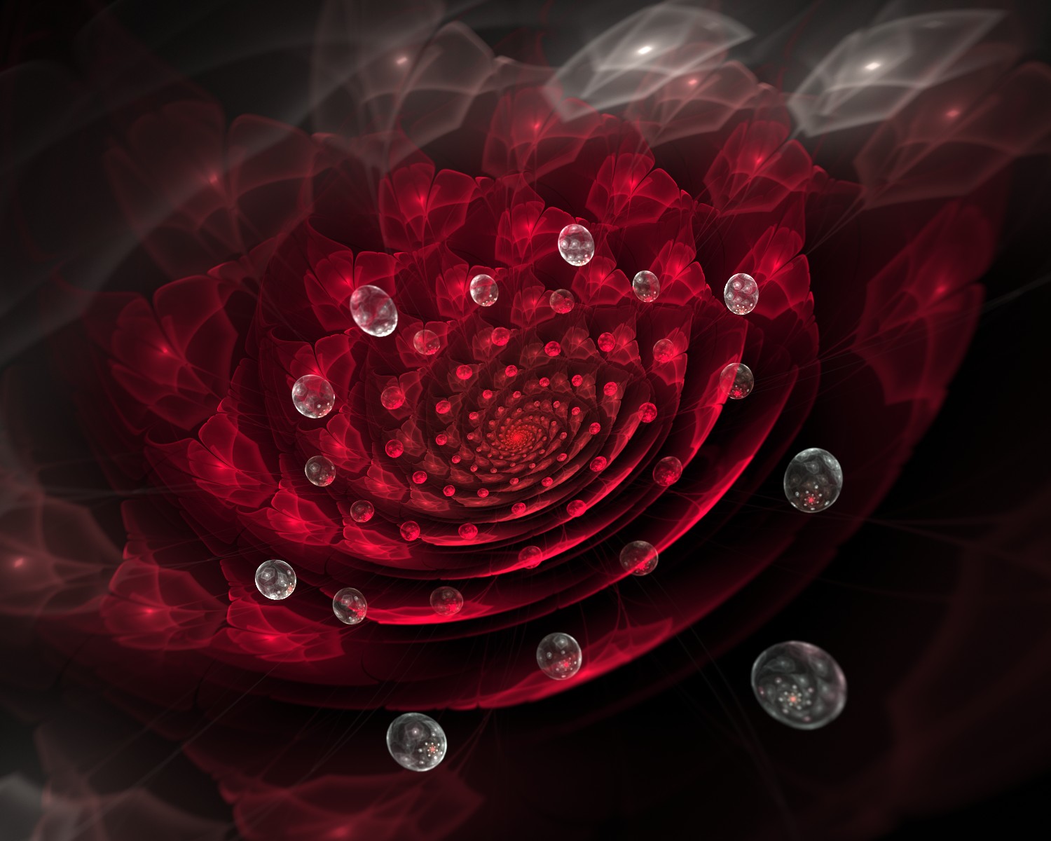 Burgundy Rose Background Wallpaper - Garden Roses (#2915096) - HD ...