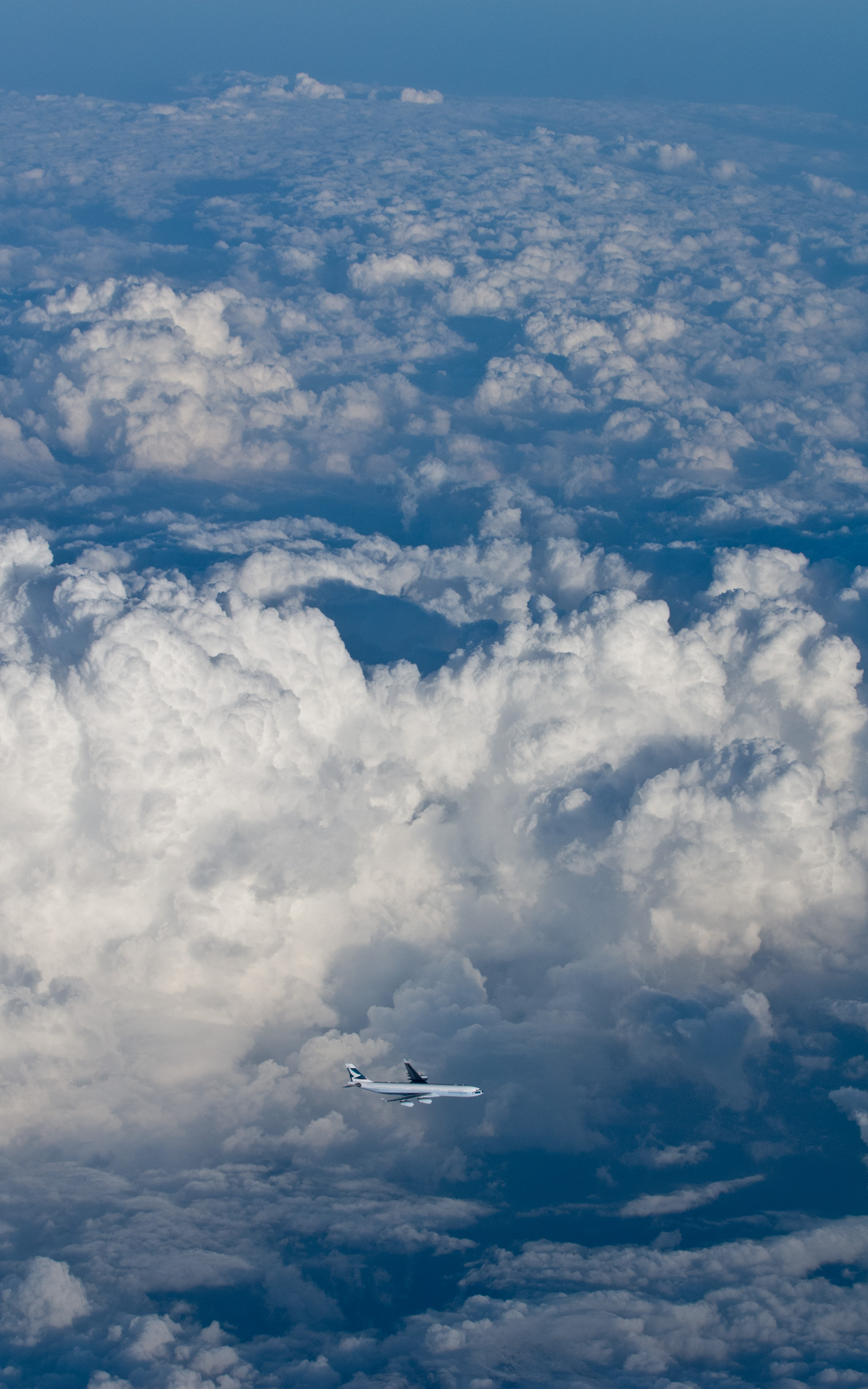 Portrait Mode Desktop Background Versions (#2919616) - HD Wallpaper ...