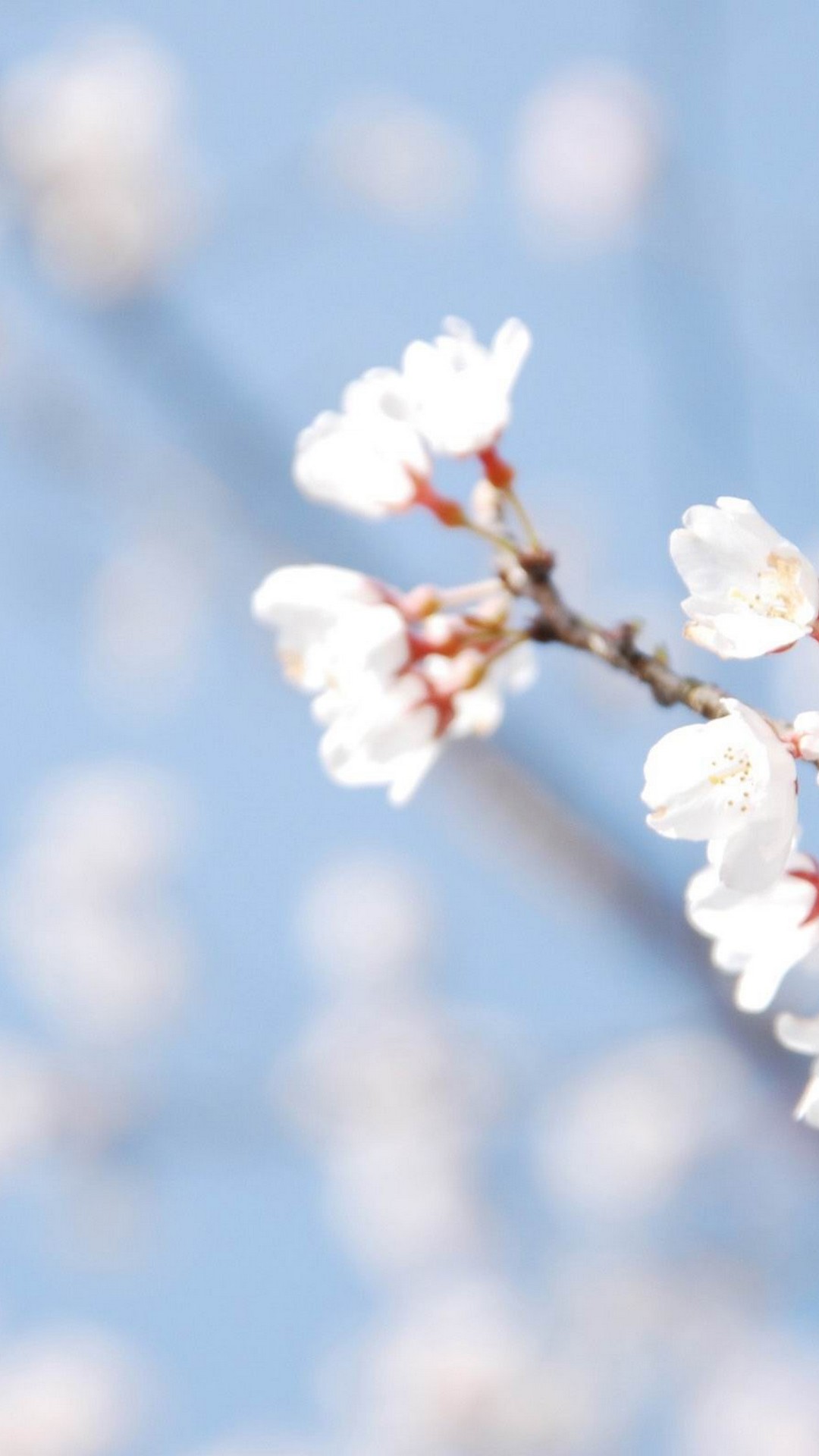 Wallpaper Android Beautiful Spring With Hd Resolution - Beautiful ...