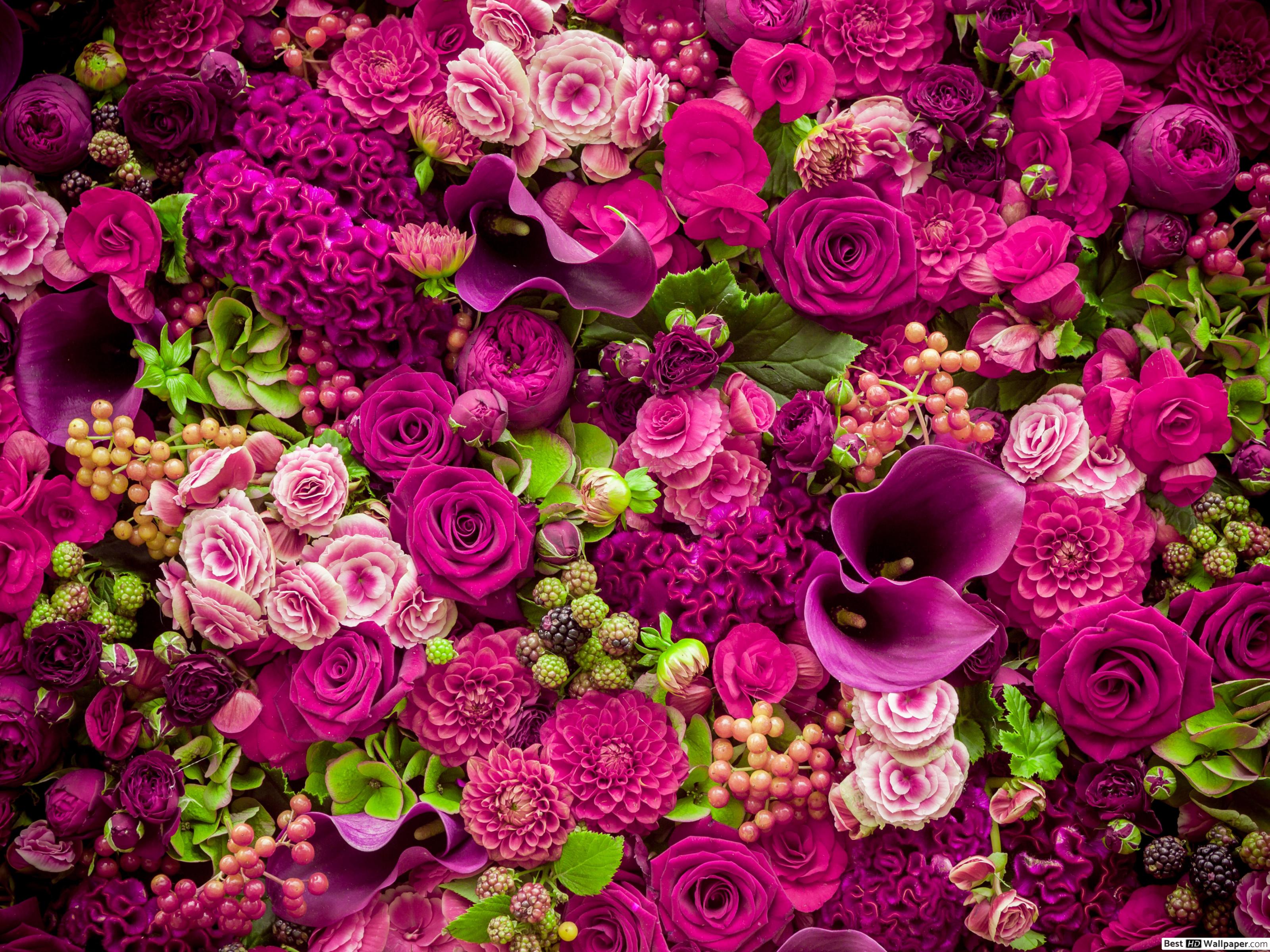Love Flowers (#2922499) - HD Wallpaper & Backgrounds Download