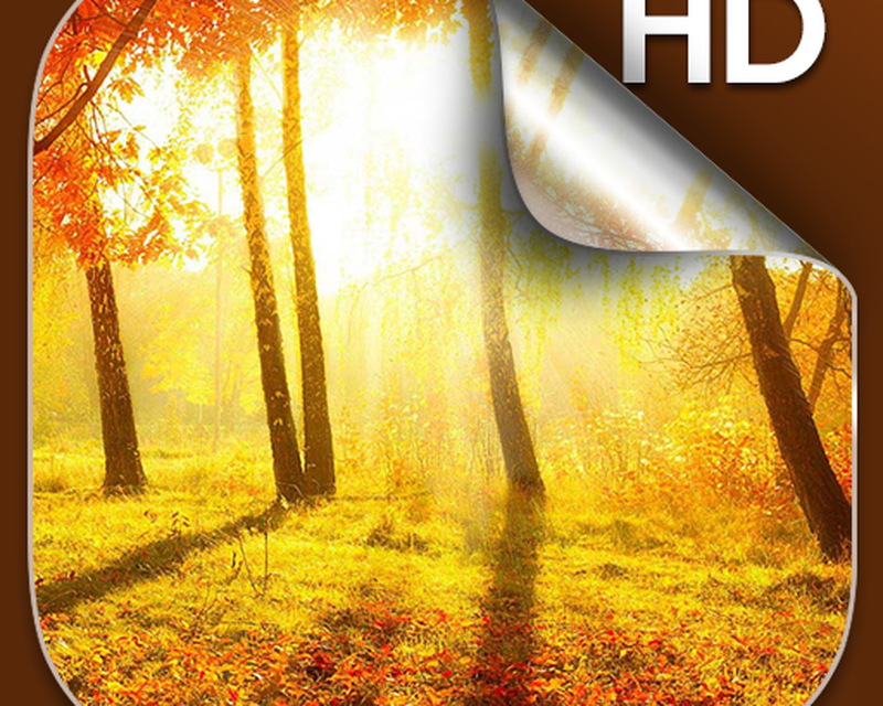 Sun Autumn (#2971718) - HD Wallpaper & Backgrounds Download