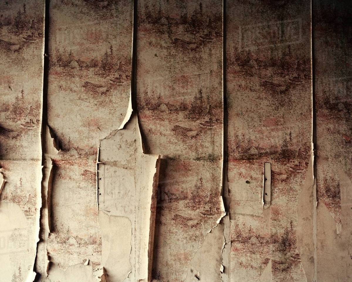 Peeling Wallpaper Stock Photo - Peeling Wall Paper (#2978315) - HD ...