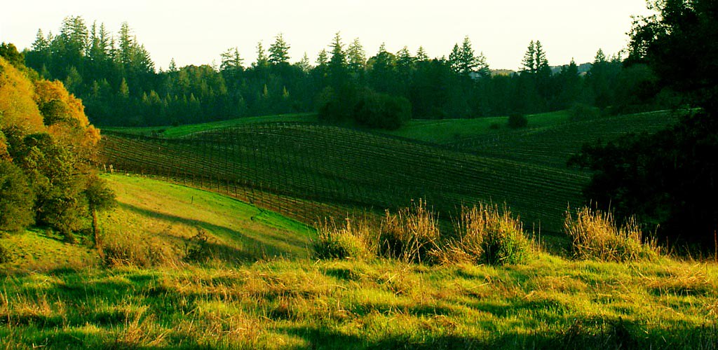 Wallpaper Pemandangan Alam Yg Indah - Pemandangan Alam Dengan Ukuran ...