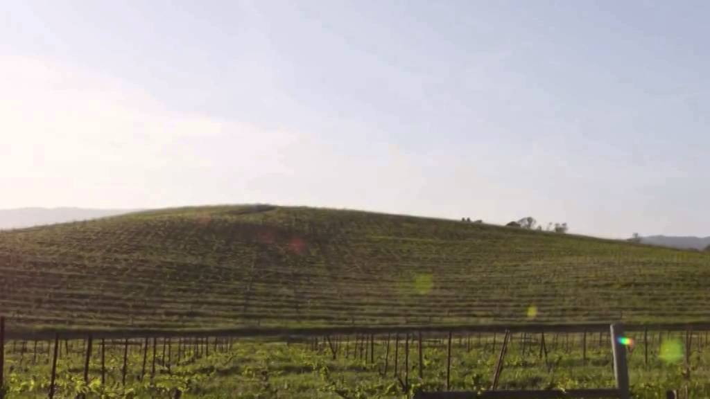 Bliss Wallpaper Hd - Field (#2994170) - HD Wallpaper & Backgrounds Download