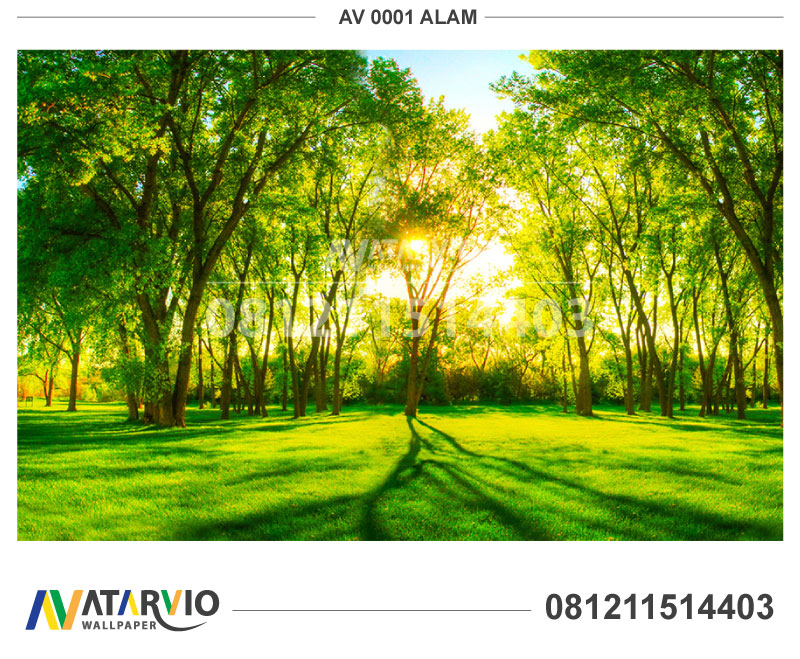 Jual Wallpaper Custom Murah - Light Screen Pemandangan Alam (#2998833 ...