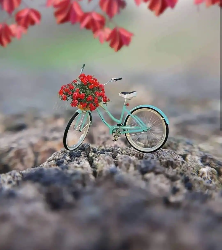 Wtsp Dp Picture ,wtsp Dp Images ,wtsp Dp Photo ,wtsp - Wtsp Dp Photos ...