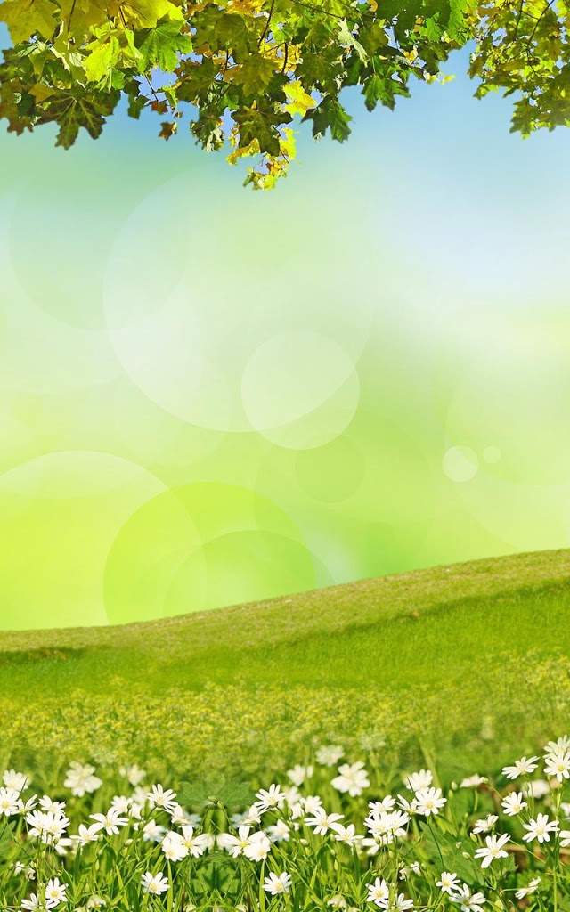4mb] Download Spring Meadow Live Wallpaper From Creative - Power Point ...