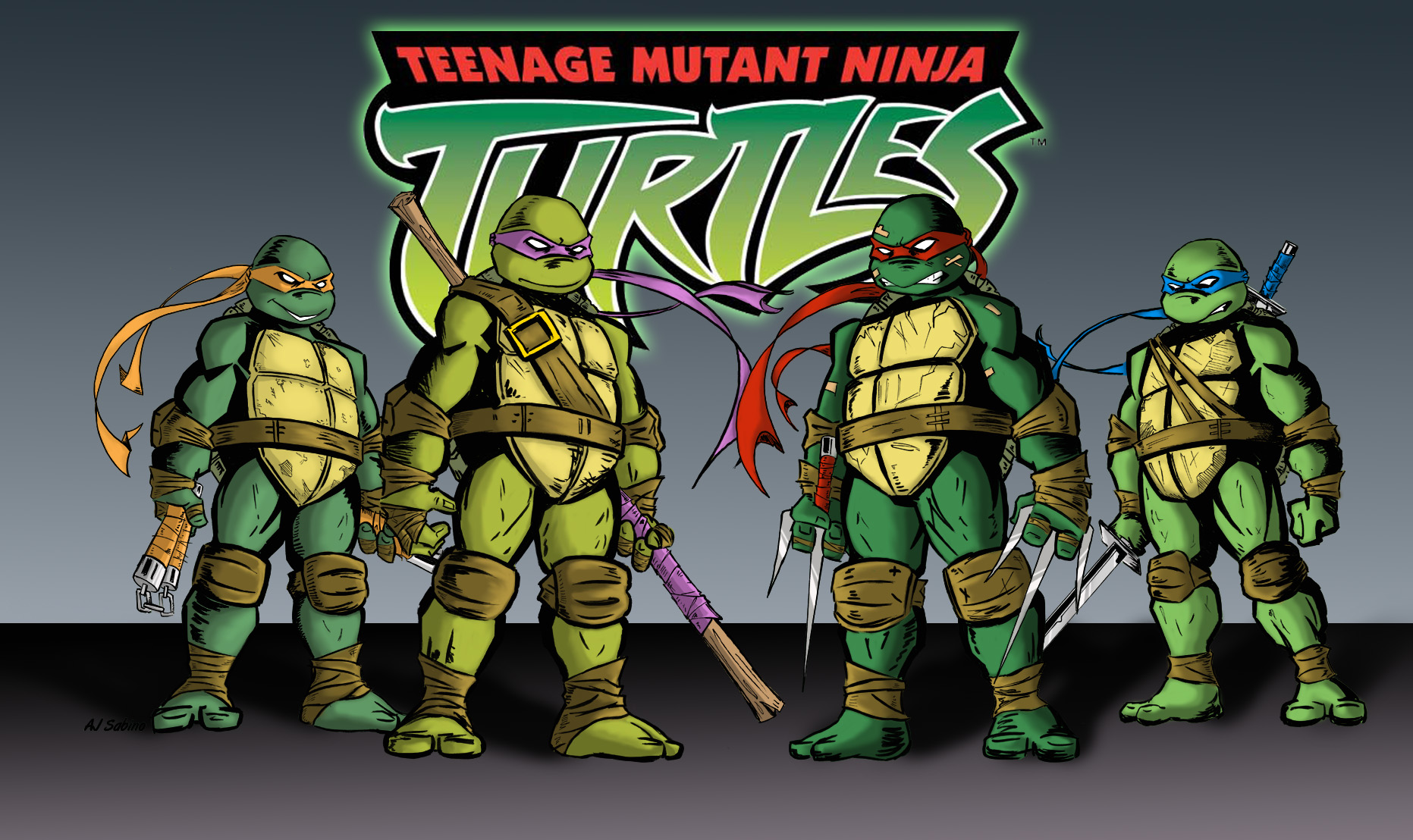 Teenage Mutant Ninja Turtles - Cam Newton Teenage Mutant Ninja Turtles ...