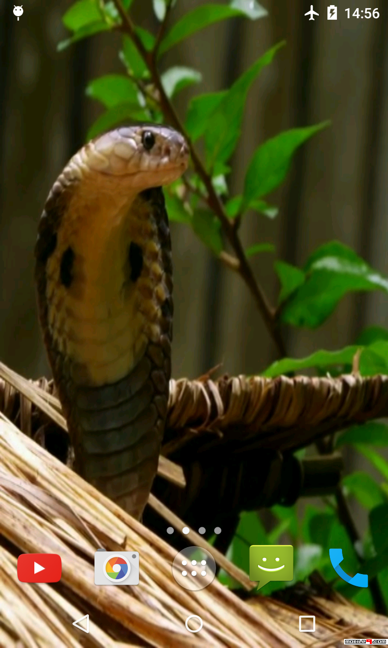 Snake Live Wallpaper - Mamba (#3001611) - HD Wallpaper & Backgrounds ...