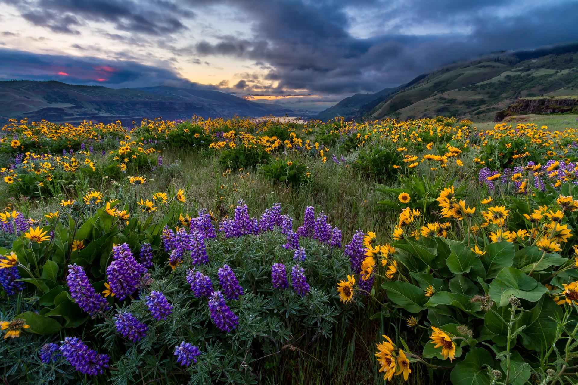 Spring In Scotland Valley, Jpeg V - Landscape Photography Spring ...