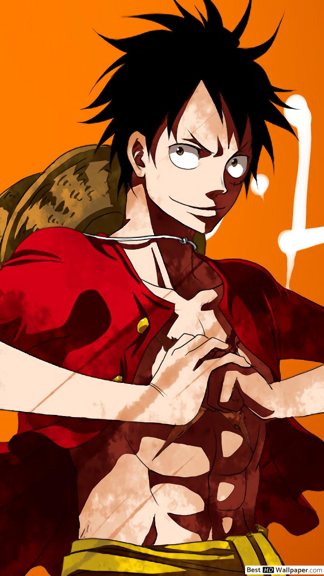 Download Monkey D Luffy Older On Itl.cat