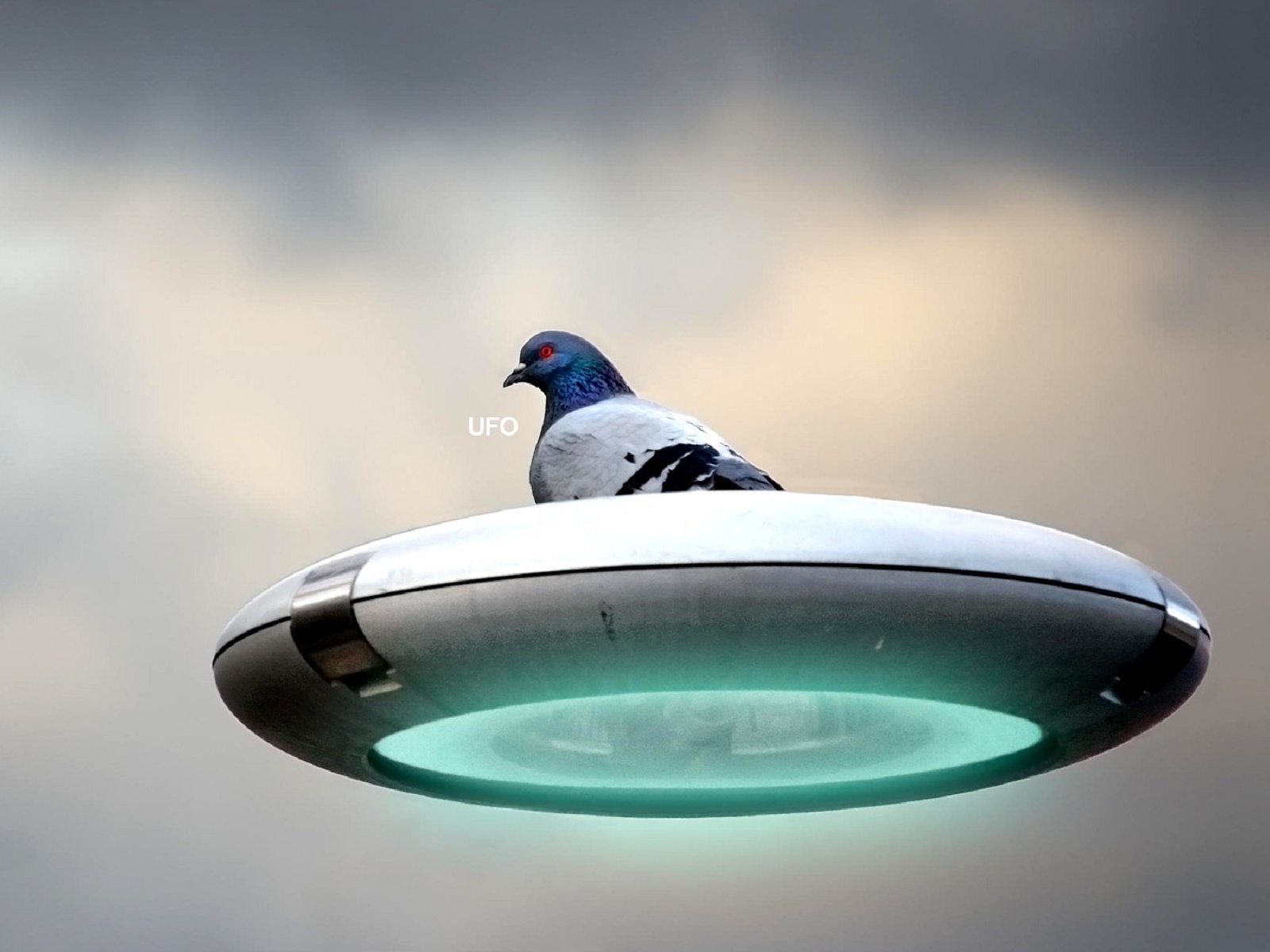 Desktop Wallpapers Free Ufo - Pigeon Ufo (#3061578) - HD Wallpaper ...