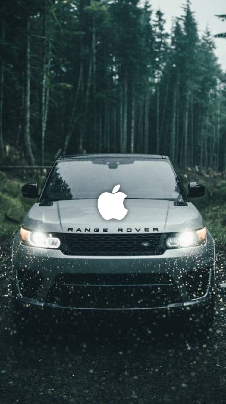 Iphone 6s Wallpaper Betta Fish (#3125954) - HD Wallpaper & Backgrounds ...