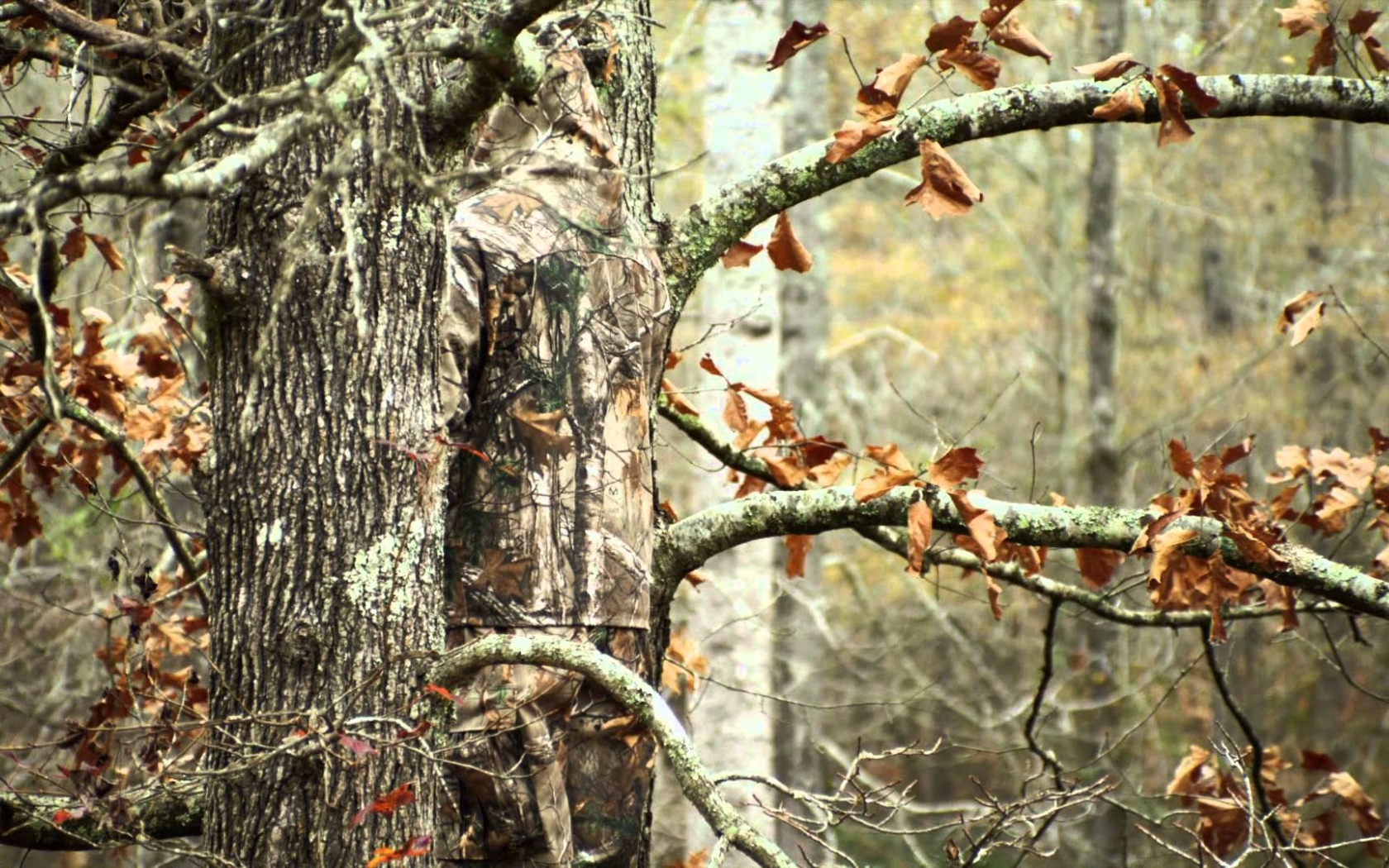Realtree Camo Wallpaper Hd Images Pictures Becuo - Realtree Camo ...