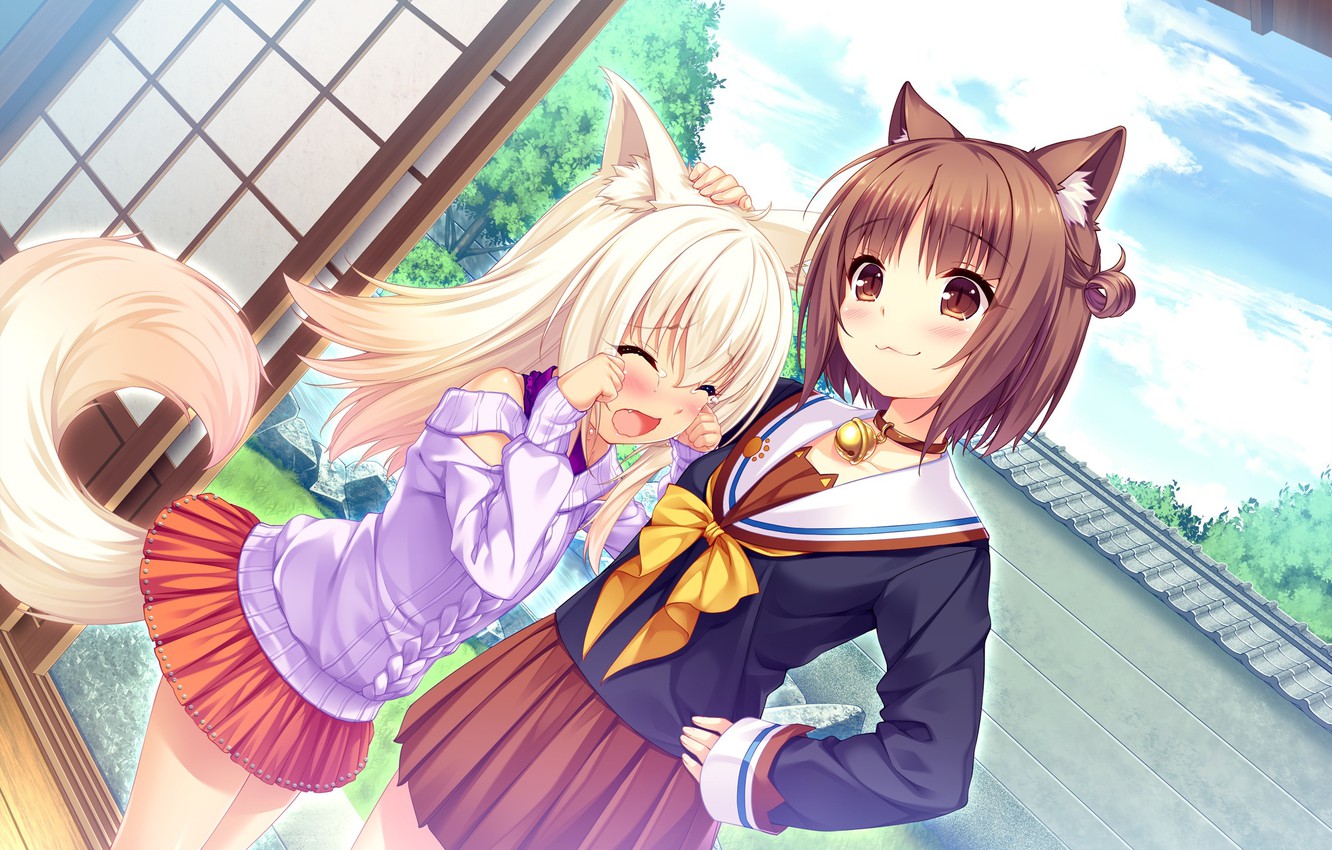 Photo Wallpaper Girls, Bow, Nekopara - Nekopara Coconut X Azuki ...