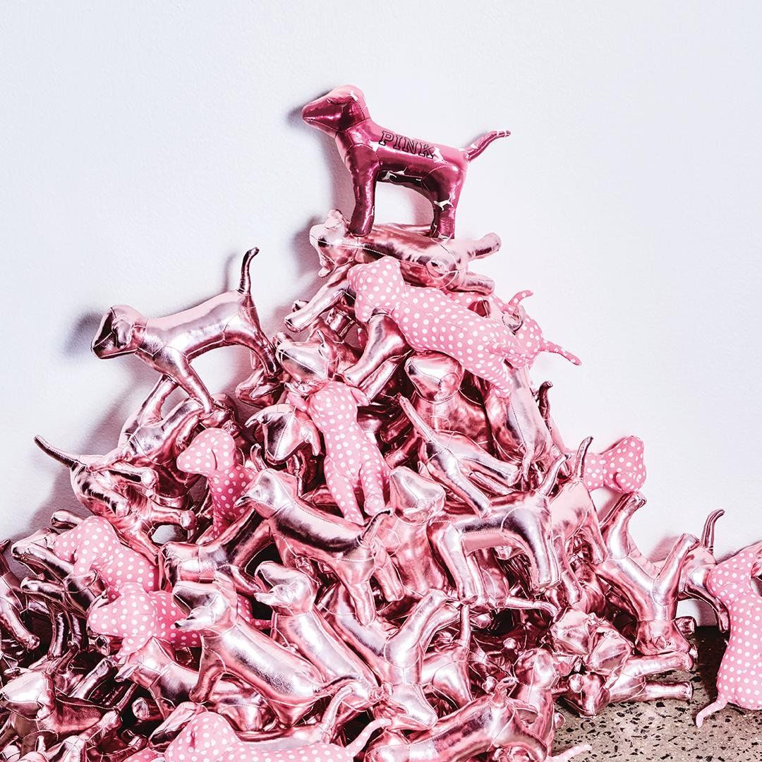 Pink Victoria Secret Mini Dog (#3141521) - HD Wallpaper & Backgrounds ...