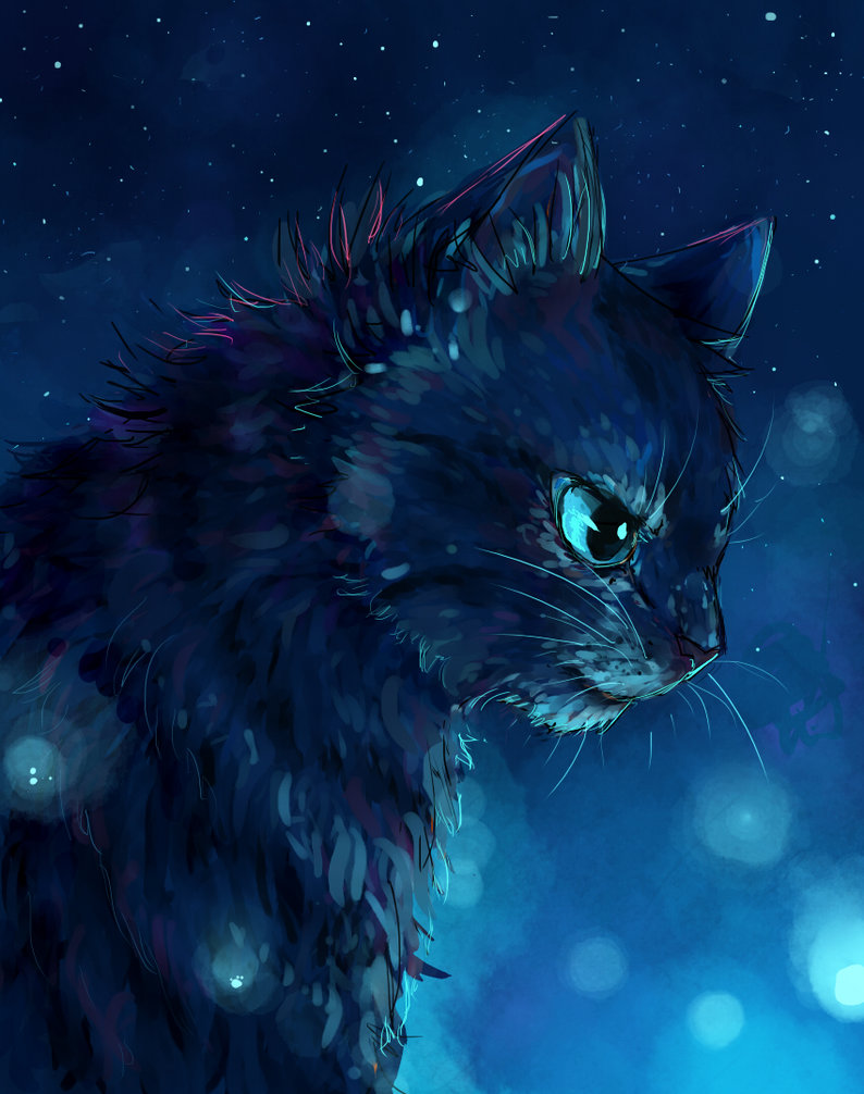 Download Warrior Cats Wallpaper Jayfeather Jayfeather By Heyfresco ...