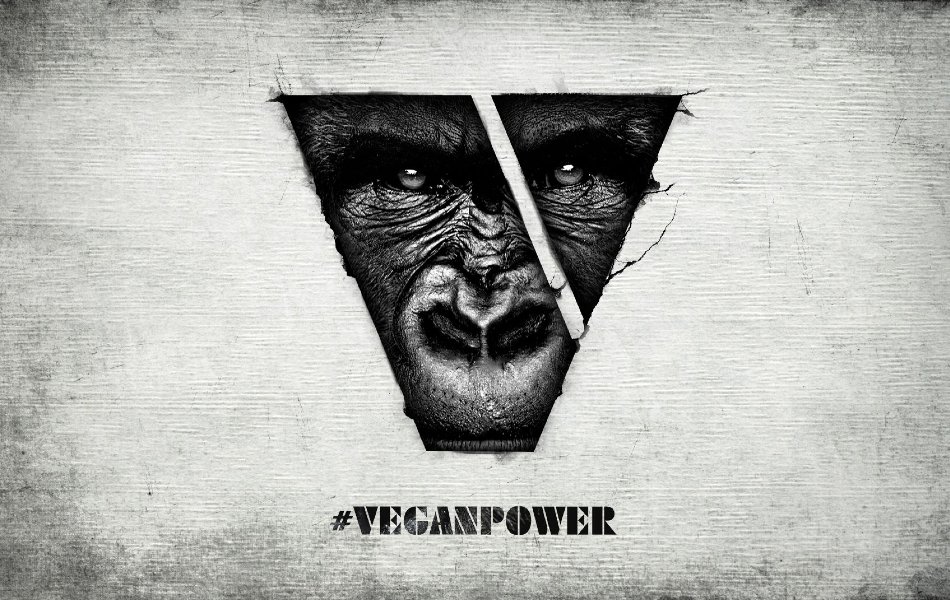 Vegan Power (#3146702) - HD Wallpaper & Backgrounds Download