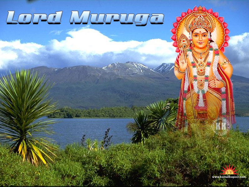God Murugan Wallpaper - Lord Murugan (#322203) - HD Wallpaper ...