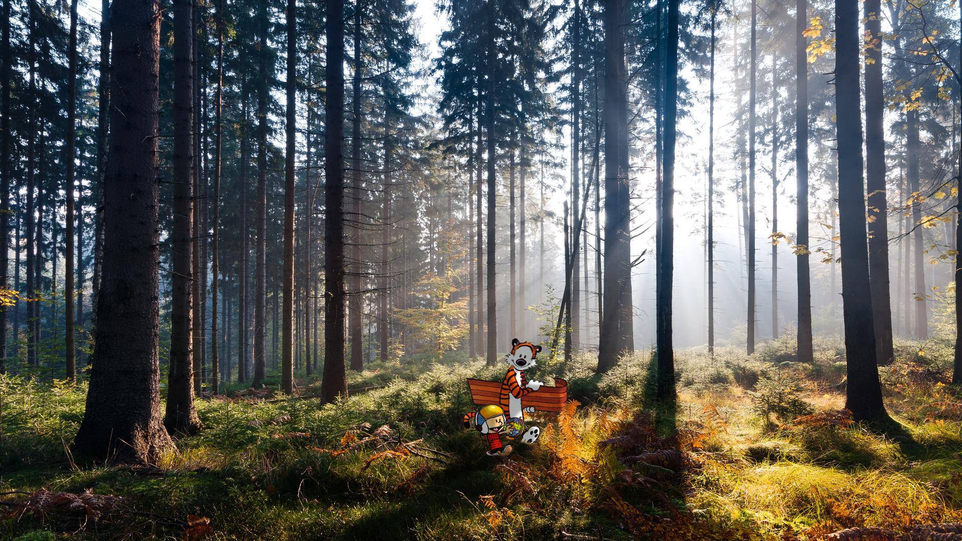 Calvin And Hobbes Photography Desktop Images - Calvin And Hobbes Real ...