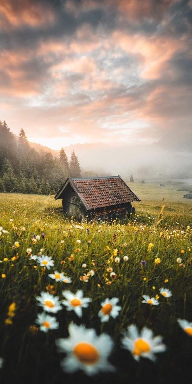 Nice View (#3221134) - HD Wallpaper & Backgrounds Download