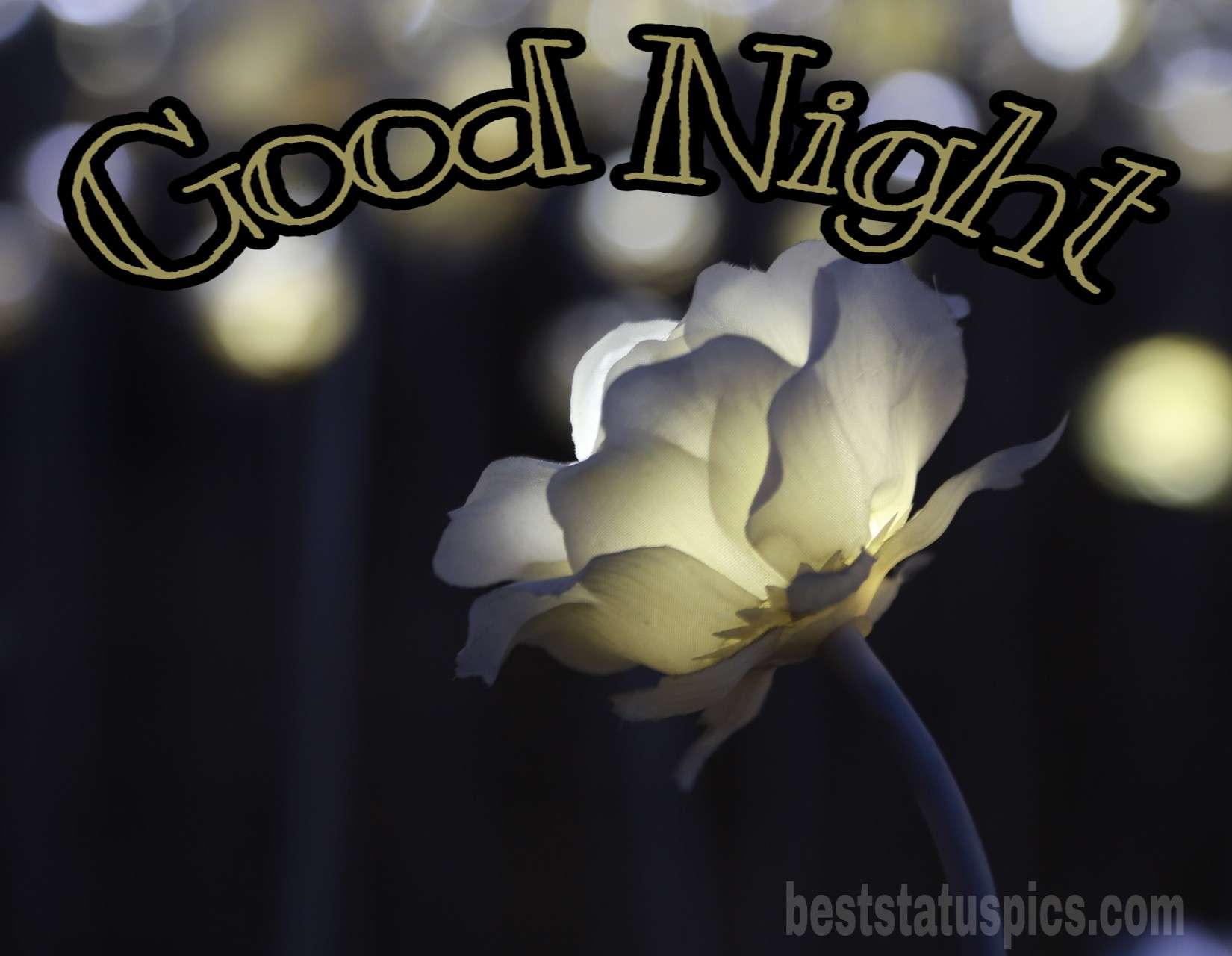 Rose Flower Good Night Image Hd - Good Night With Flowers (#3223122 ...