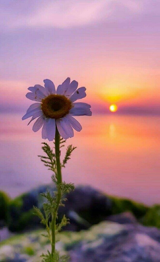 Un Giorno La Speranza Disse Al Mondo (#3223859) - HD Wallpaper ...