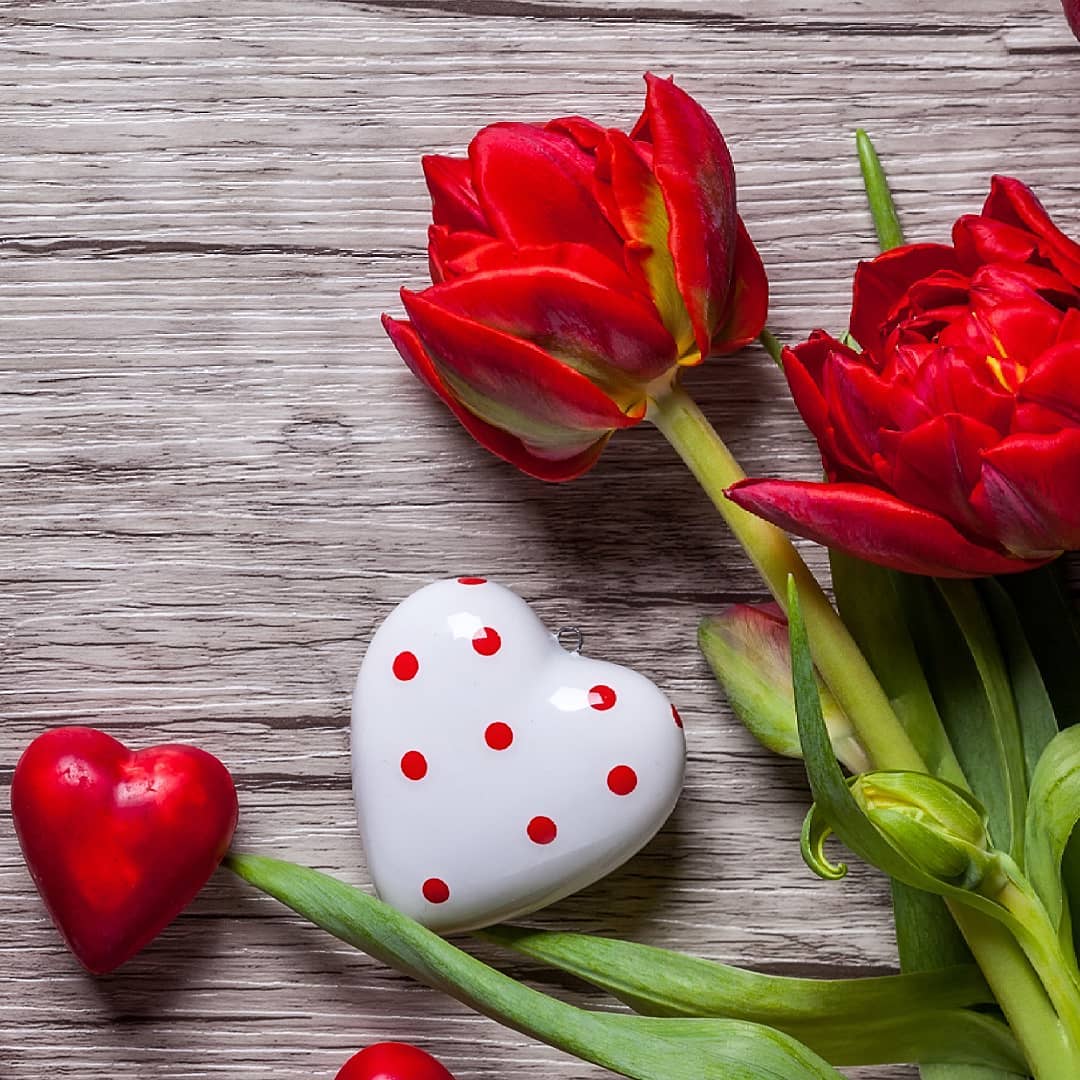 Background Followers (#3223922) - HD Wallpaper & Backgrounds Download