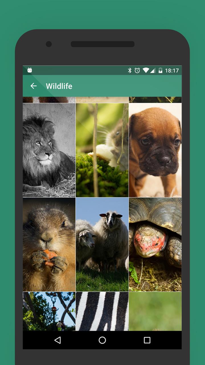 Android Wallpaper App Source Code (#3232234) - HD Wallpaper ...