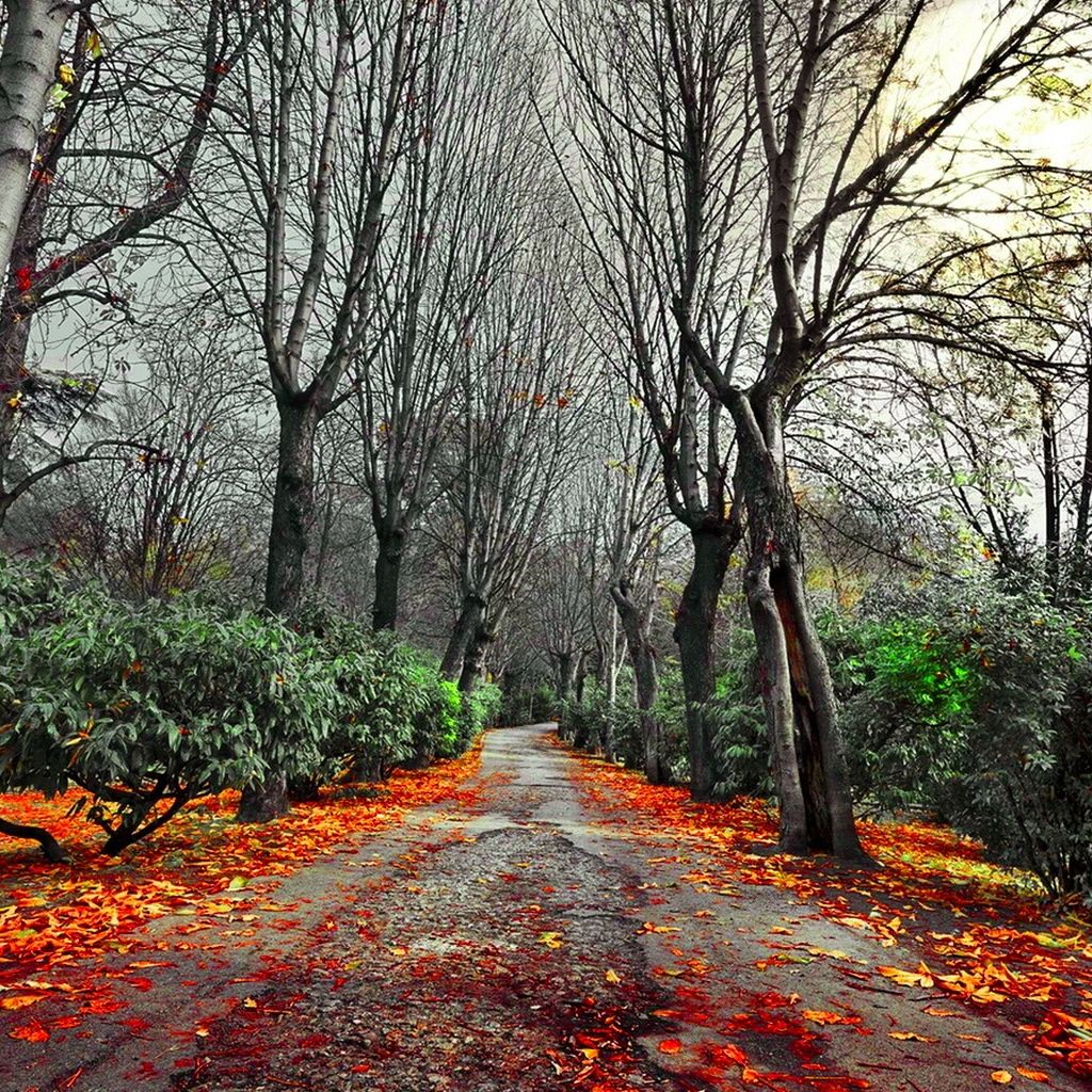 Dark Fall Desktop Backgrounds (#3232296) - HD Wallpaper & Backgrounds ...