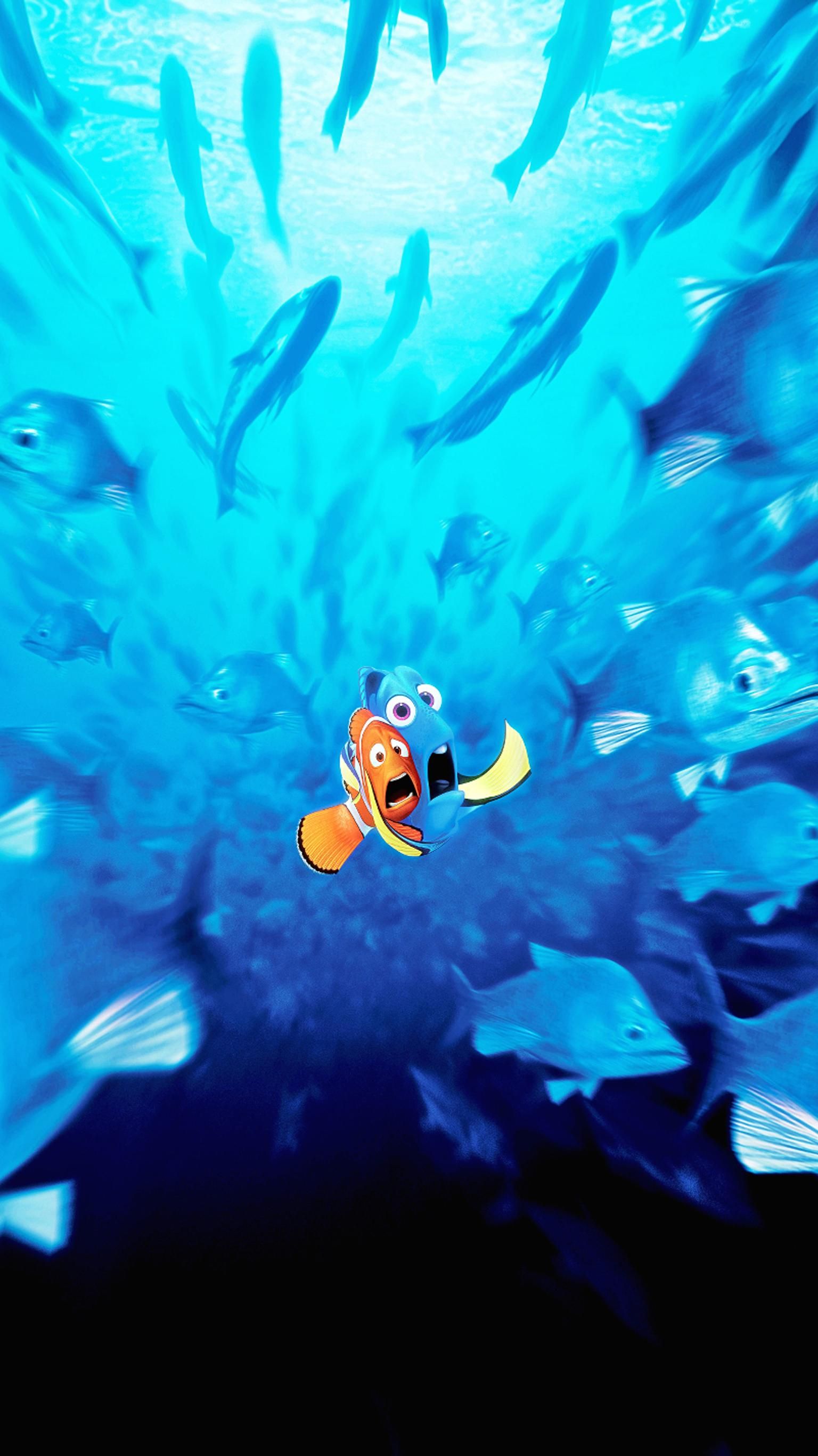 Finding Nemo (#3243086) - HD Wallpaper & Backgrounds Download