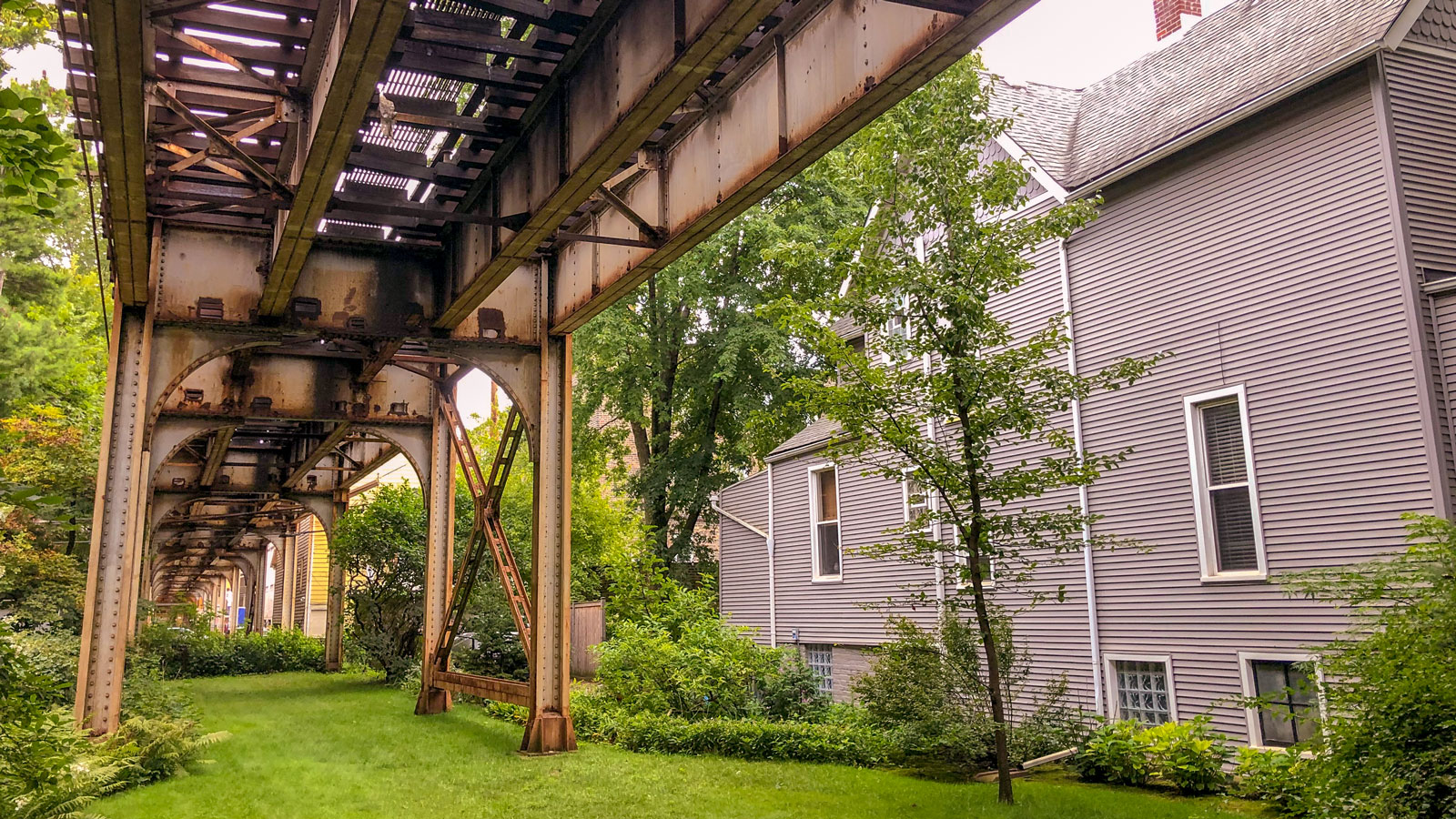 L - Tree (#3248100) - HD Wallpaper & Backgrounds Download