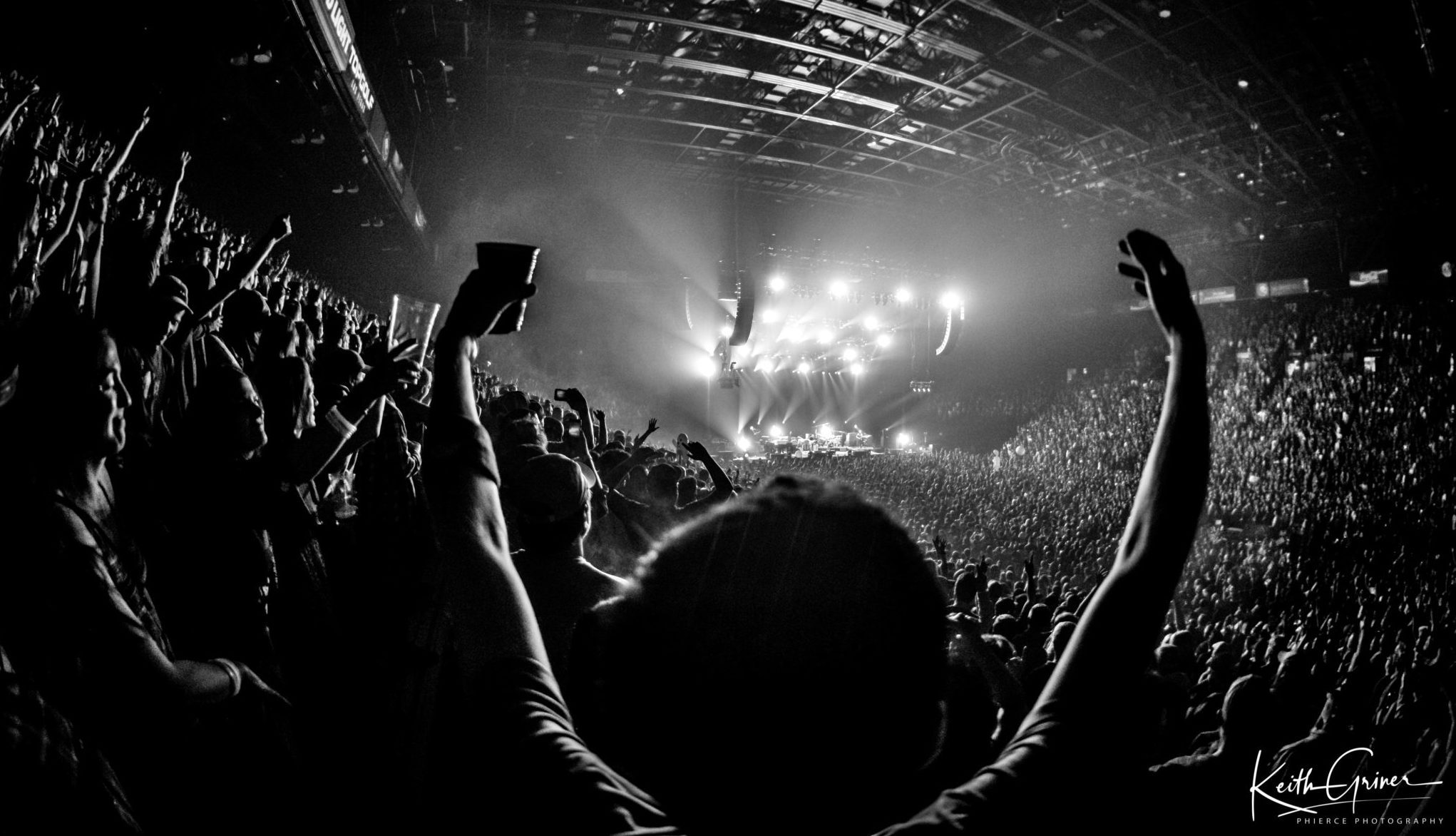 Phish - Monochrome (#3252429) - HD Wallpaper & Backgrounds Download