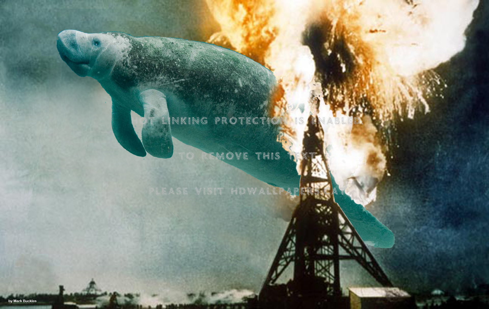 Oh The Huge Manatee Zeppelin Dirigible - Hindenburg Zeppelin (#3281588 ...