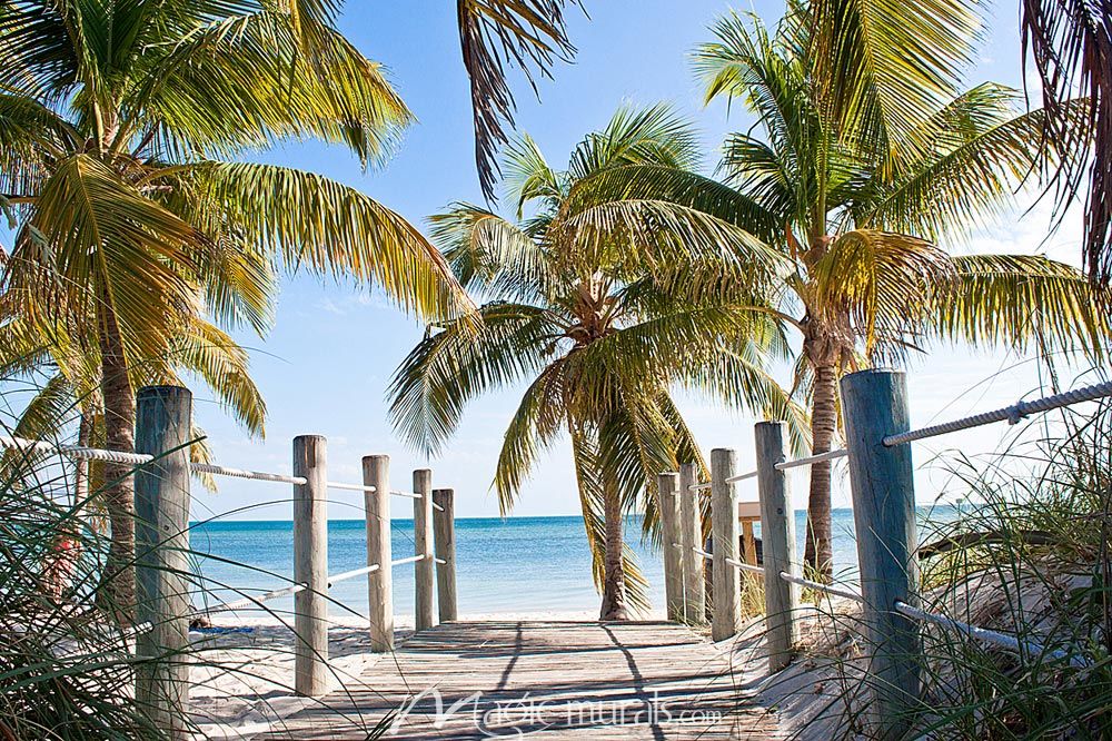 Palm Tree Feature Wall (#3282775) - HD Wallpaper & Backgrounds Download