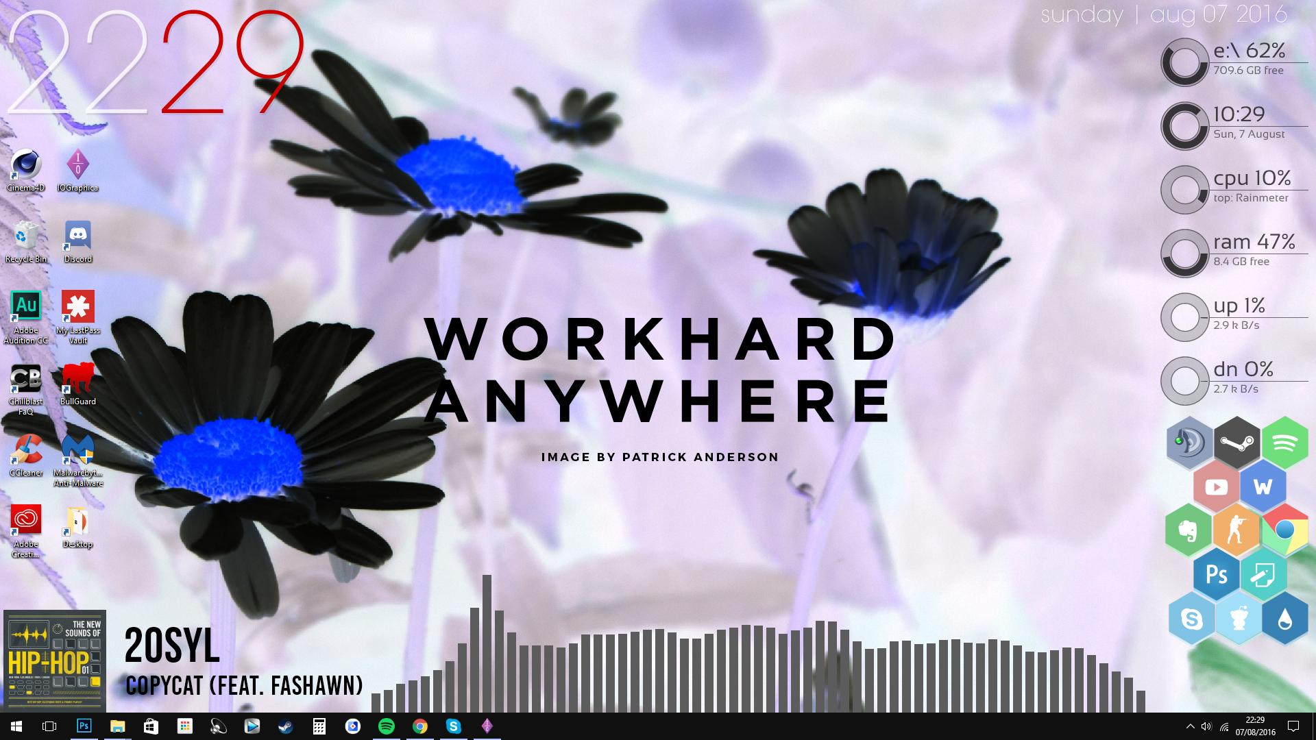 Work Hard Anywhere - African Daisy (#360280) - HD Wallpaper ...