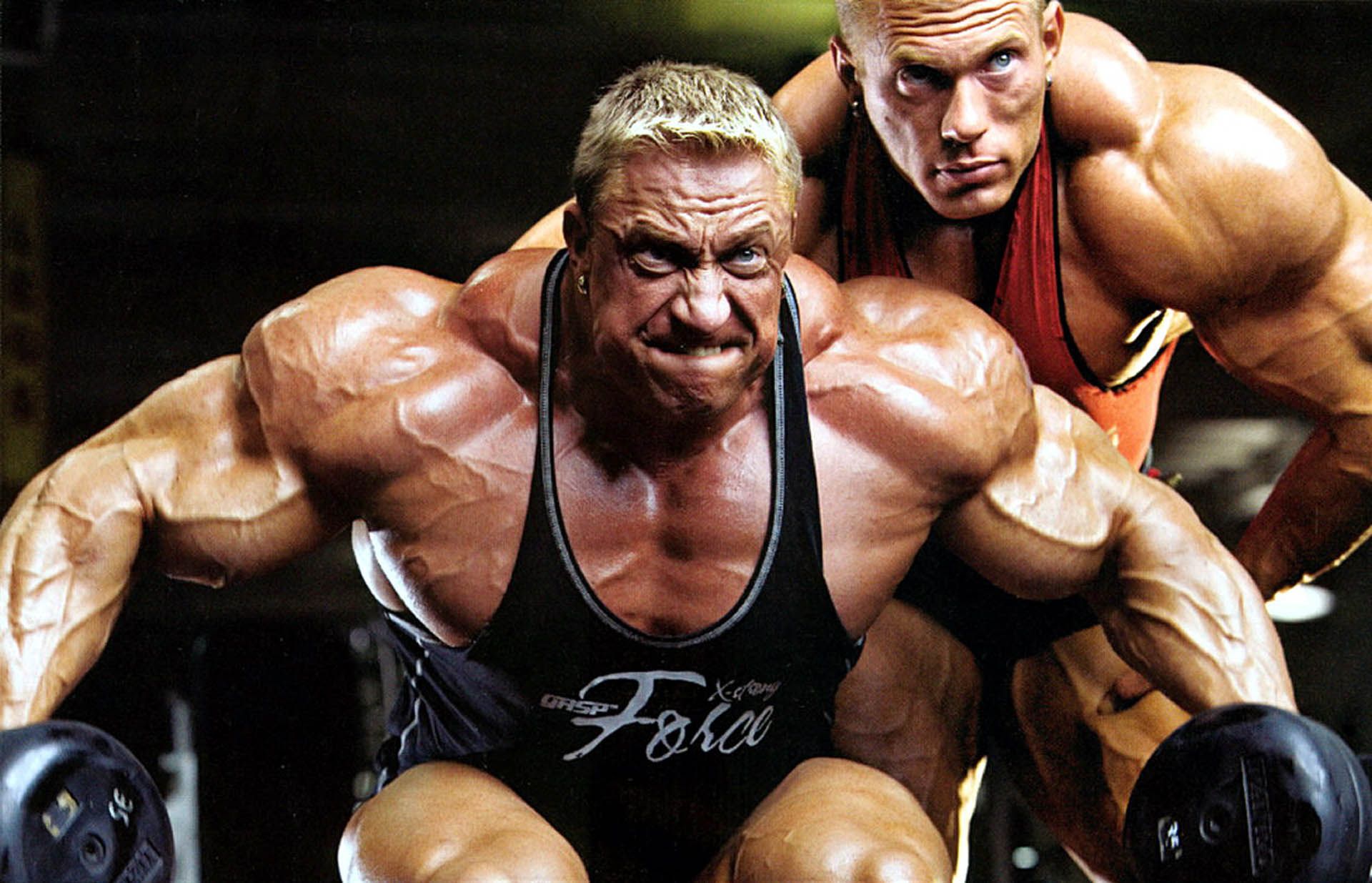 Bodybuilding - Best Bodybuilders In 2017 (#41067) - HD Wallpaper ...