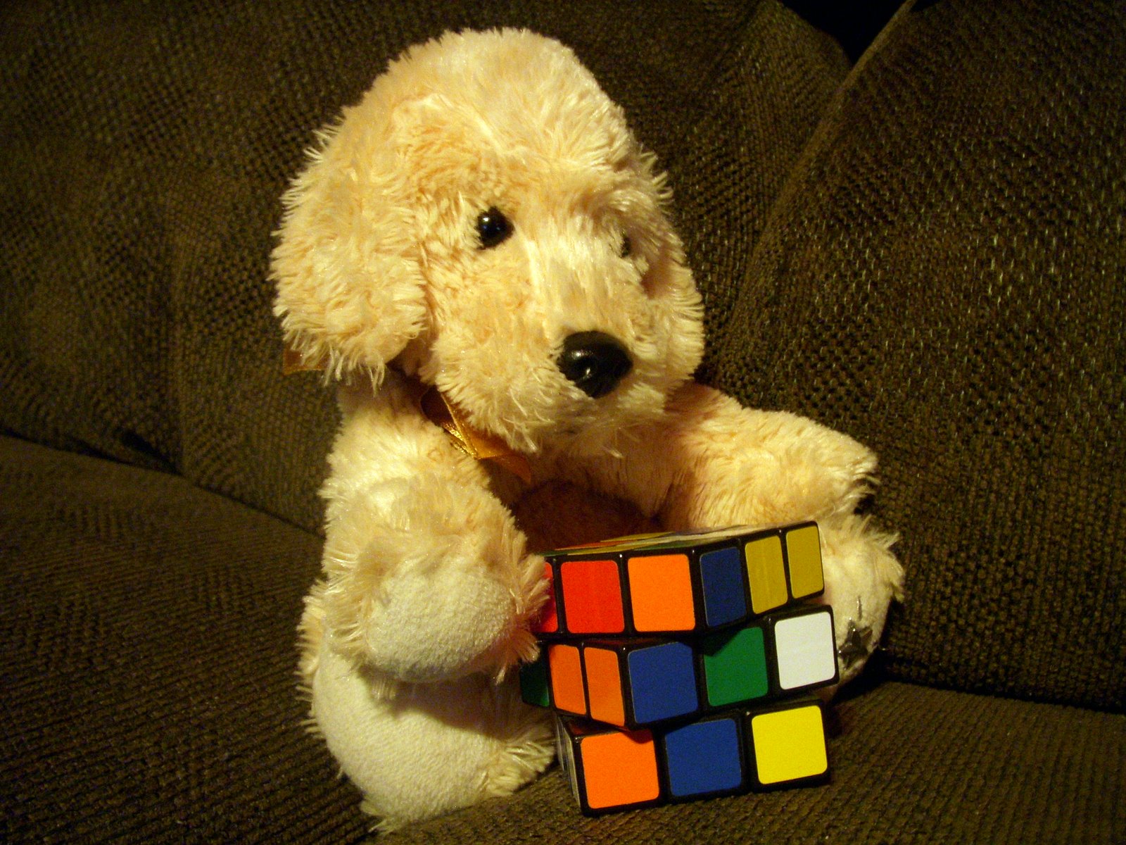 Download Couch, Dogs, Puppies, Stuffed, Animals, Rubiks, Cube - Rubiks ...