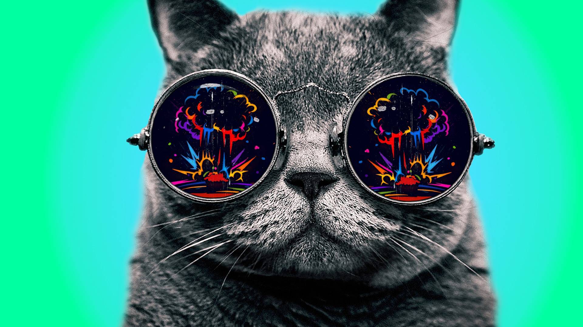 Cats With Glasses Explosion (#474780) - HD Wallpaper & Backgrounds Download