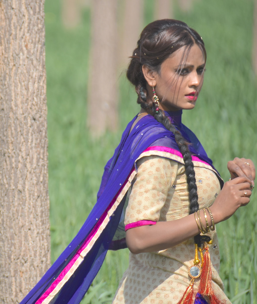 Jennifer Sharma Tags - Sari (#499380) - HD Wallpaper & Backgrounds Download