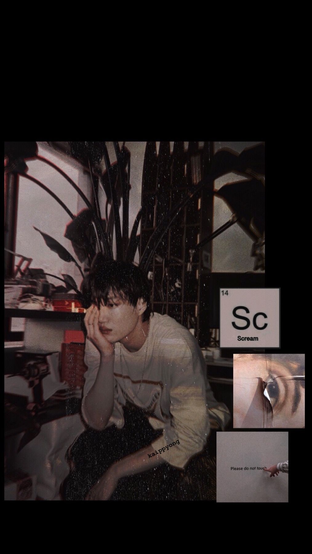 24375739 - Kai (#550894) - HD Wallpaper & Backgrounds Download