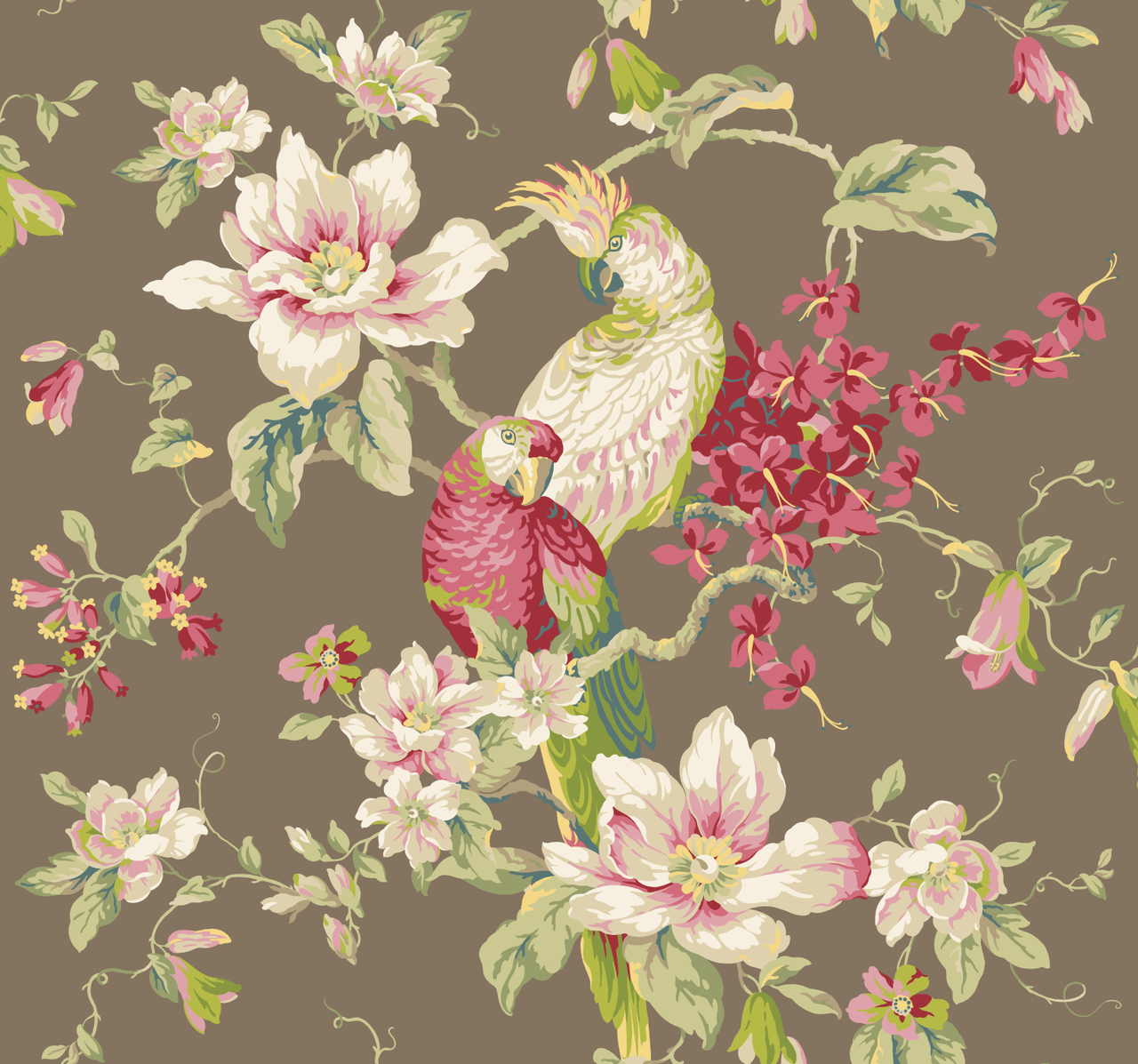 Loading Zoom - Tropical Birds (#553898) - HD Wallpaper & Backgrounds ...