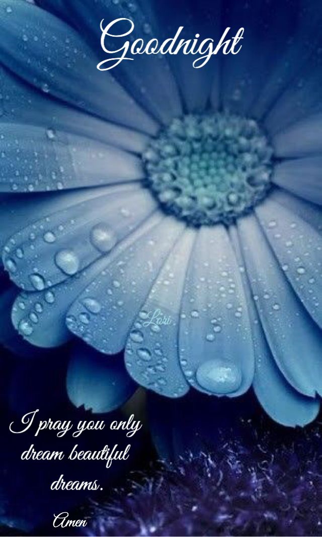 Good Night Water Live Wallpaper - Good Night Blue Flowers (#575670 ...