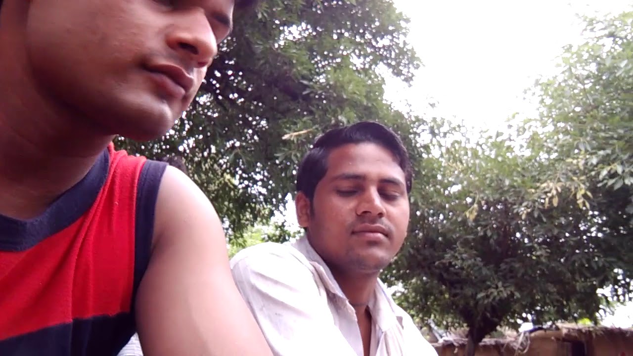 Durgesh Kumar Kashyap Wallpaper - Tree (#587112) - HD Wallpaper ...