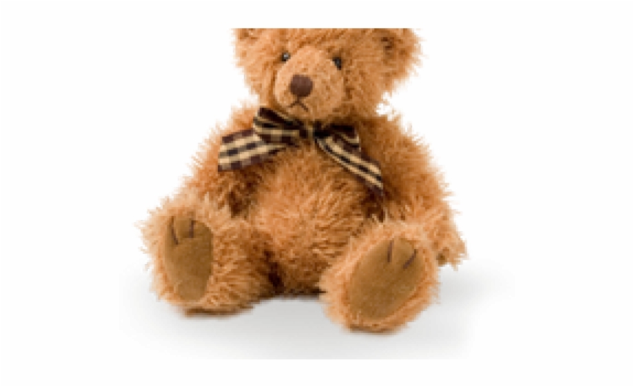 Download Teddy Bear Png Transparent Images - Teddy Bear Colour Palette ...